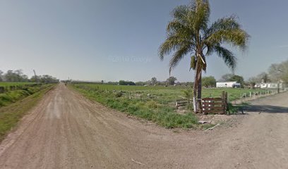 Los Cuervos Rugby Csr - San Genaro Nte. - Ubicación, Horario, Teléfono ...